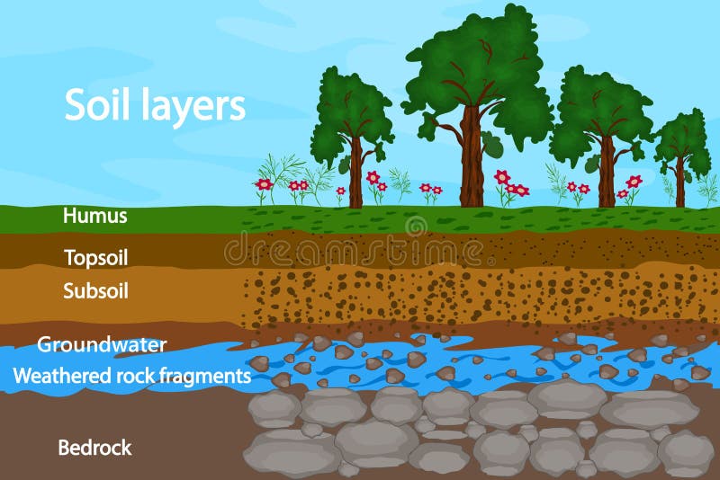 Soil Layers. Diagram for Layer of Soil. Soil Layer Scheme. Stock Vector ... Soil Layers. Diagram for Layer of Soil. Soil Layer Scheme. Stock Vector ...