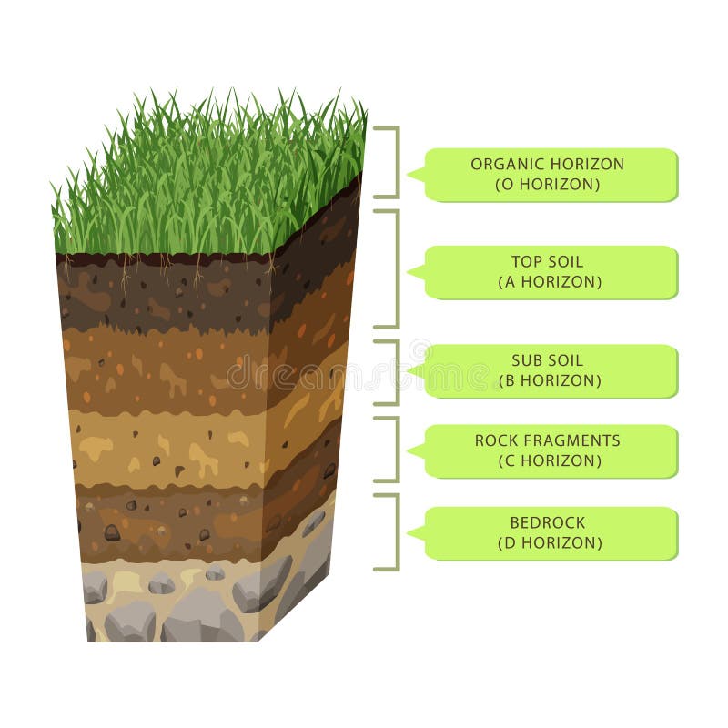 Soil Profile Diagram