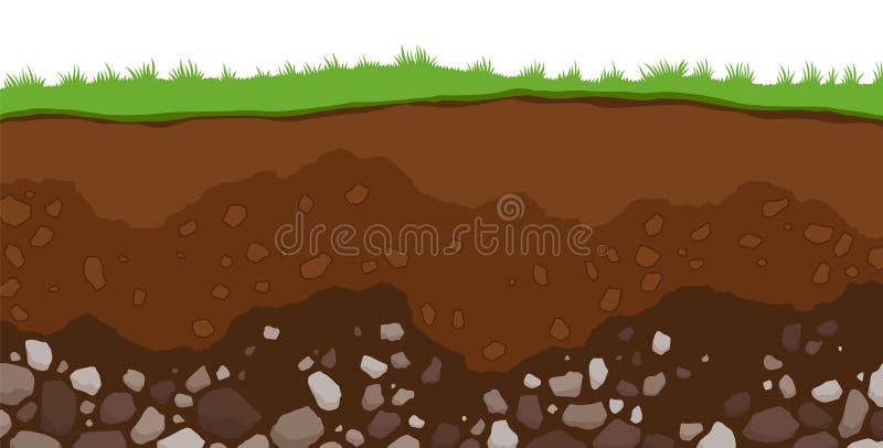 Soil Layers. Surface Horizons Upper Layer of Earth Structure with ...