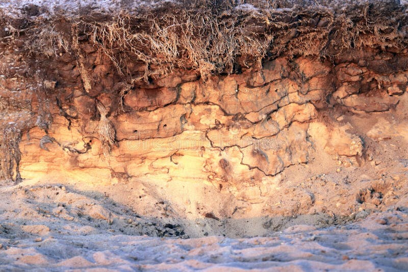 Dry Soil Layers Under the Heath Exposing Dryness Stock Photo - Image of ...