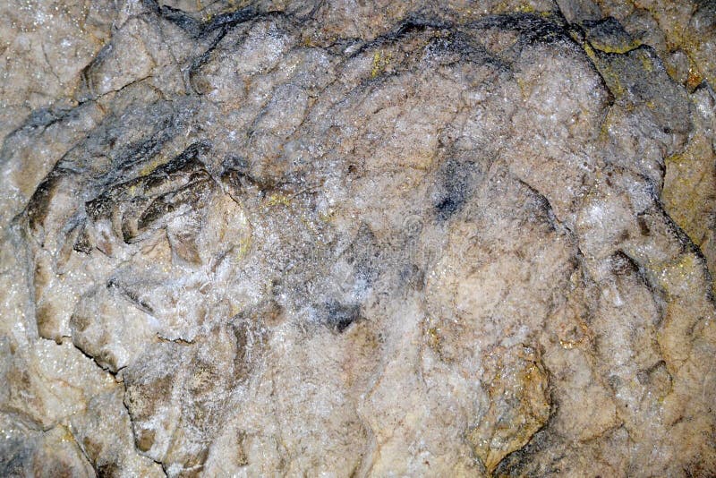 Soil layers stock image. Image of clay, sand, brown - 245562289