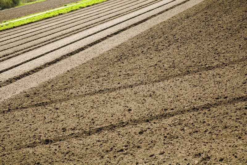 Soil and lines stock photo. Image of decorative, soil - 1242080