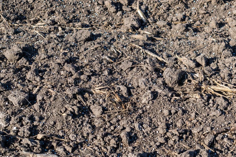 Soil with Mineral Fertilizer Stock Photo - Image of agricultural, dirt ...