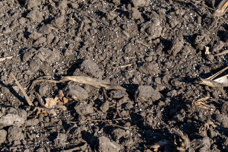 Soil with Mineral Fertilizer Stock Photo - Image of fertilizing, field ...