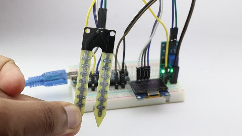 OLED and LCD Display Modules Connected To a Micro Controller Using Jumper Cables and Screen ...