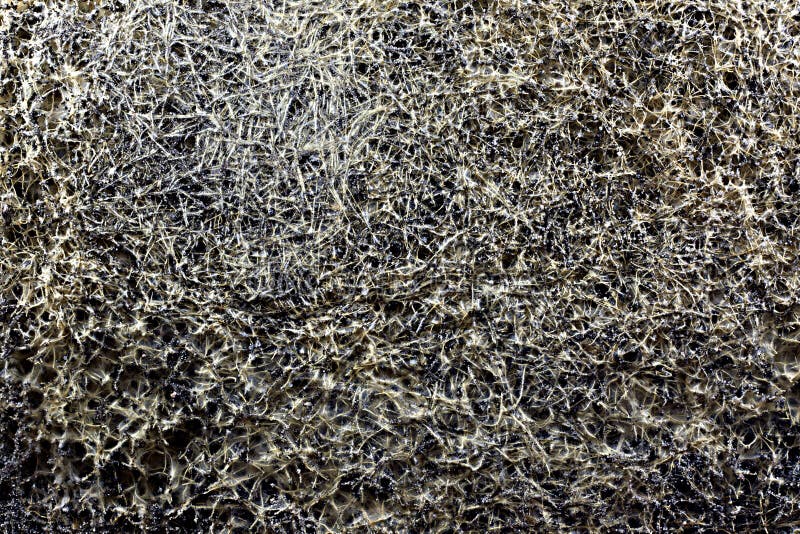 Soil Mold and Roots Compost Texture Stock Photo - Image of soil, mold ...