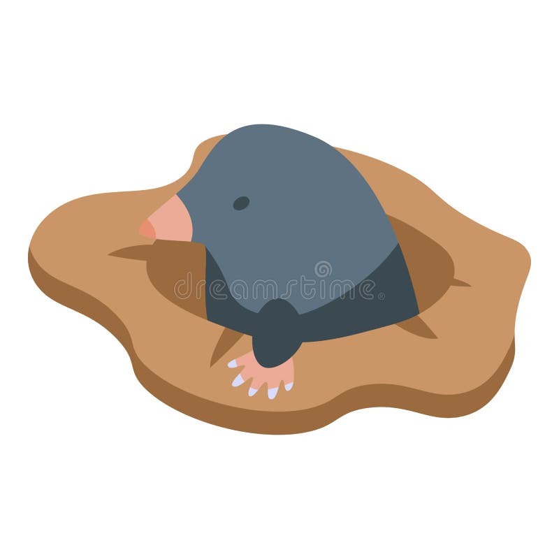 Soil Mole Icon Isometric Vector. Hole Animal Stock Illustration ...