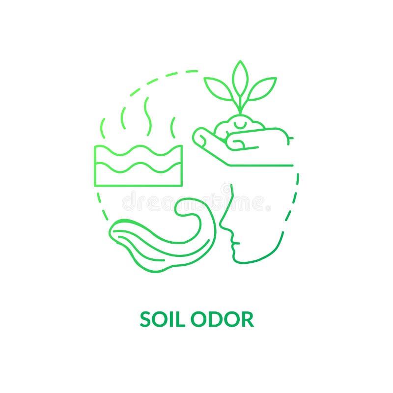 Infographic Odour Stock Illustrations – 11 Infographic Odour Stock ...