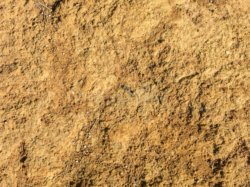 Soil pattern stock photo. Image of land, draught, brown - 93419652
