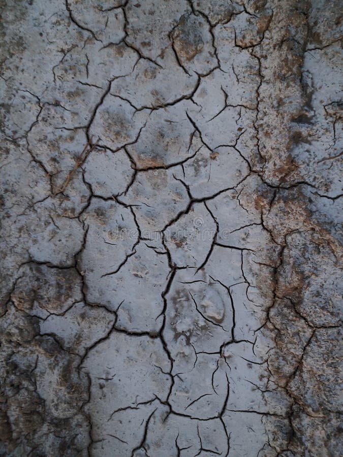 Soil Pattern. Soil after Rain Stock Photo - Image of rain, pattern ...