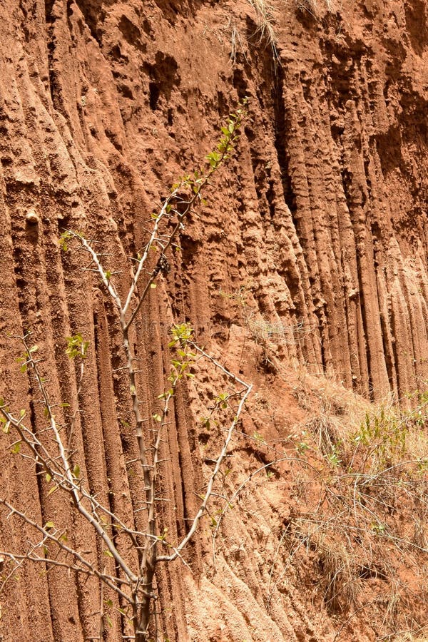 Slide Soil Erosion in Rural Kenya Stock Photo - Image of nature, kenya ...