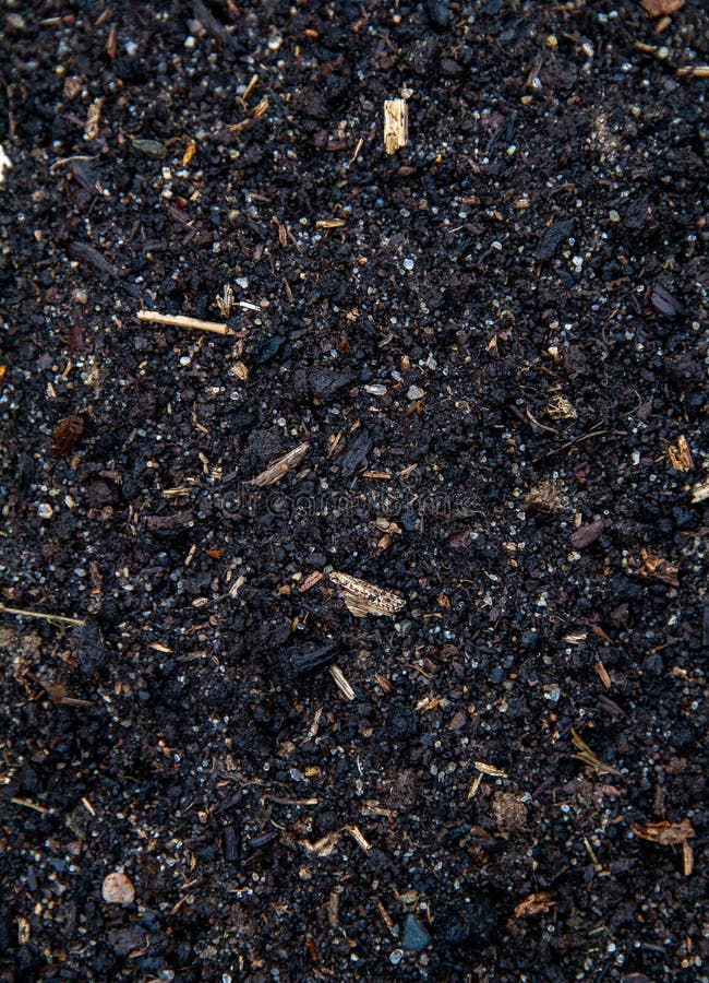 Soil Peat Consists of a Set of the Vegetable Remains, Sand. Stock Photo ...