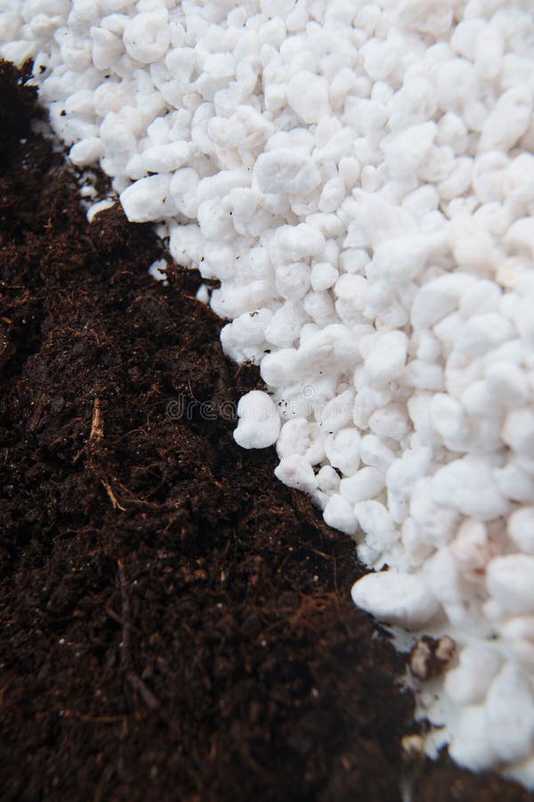 199 Perlite Plants Stock Photos - Free & Royalty-Free Stock Photos from ... 199 Perlite Plants Stock Photos - Free & Royalty-Free Stock Photos from ...