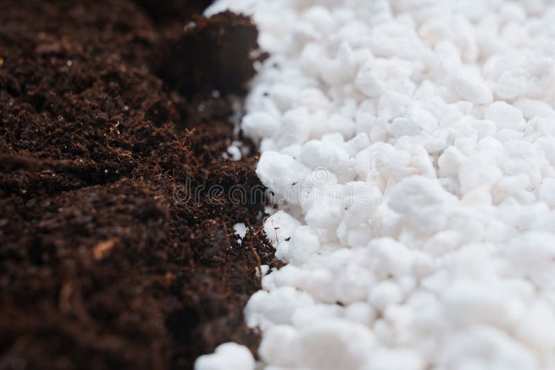 Soil and Perlite for Plants. Neutral Material of Volcanic Origin Stock ...