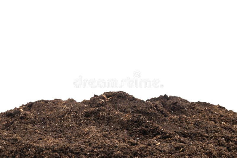Soil for Plant Isolated on White Background Stock Image - Image of ...