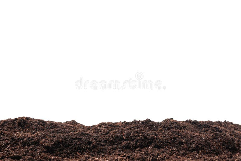 Soil for Plant Isolated on White Background Stock Image - Image of ...