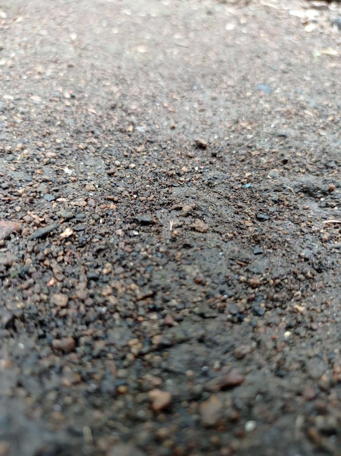 Soil for planting media stock photo. Image of sand, gravel - 243179030