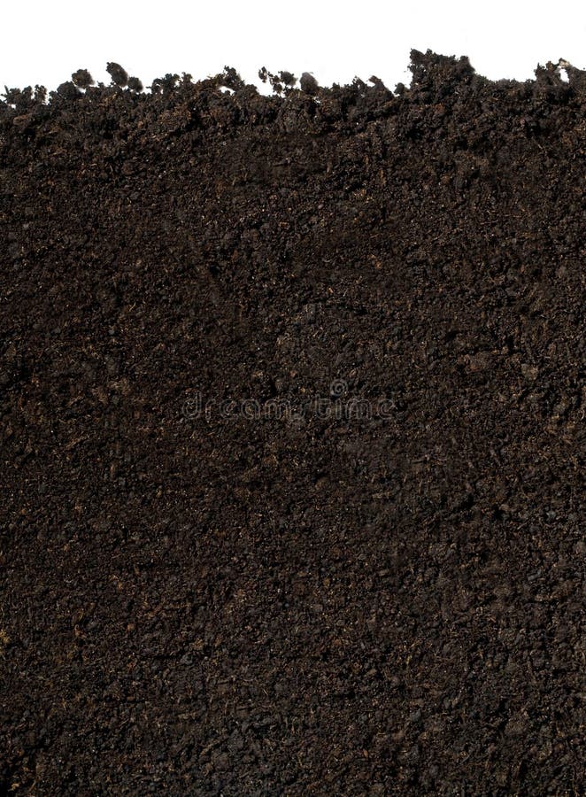 Soil Bag For Planting The Seedlings In It Is A Loamy Soil Stock Photo ...