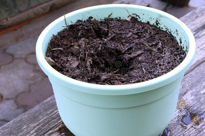 Soil in a Pot. Ground in a Green Pot Stock Image - Image of keeping ...