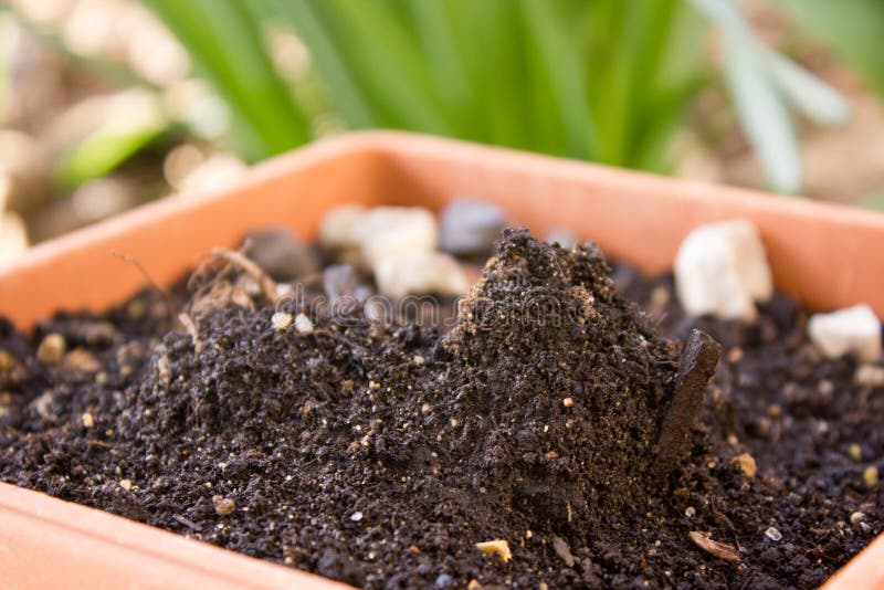 A Pot With Dirt Or Soil For Planting Flower In A Small Organic G Stock ...