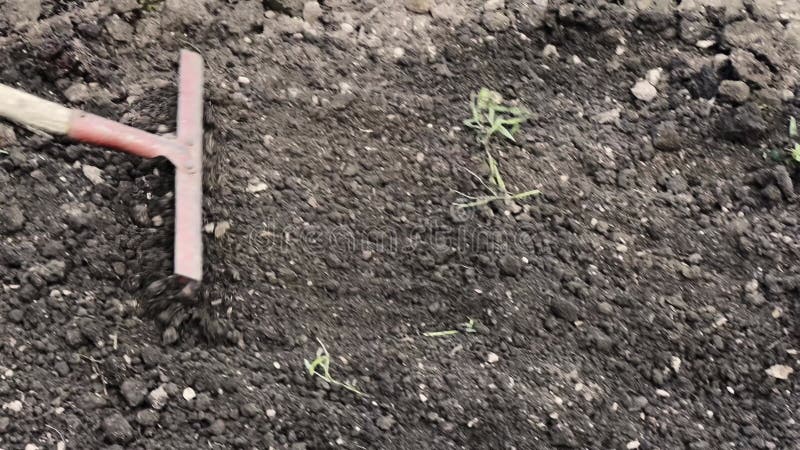 Soil Preparation in the Garden with a Rake Stock Video - Video of rural ...