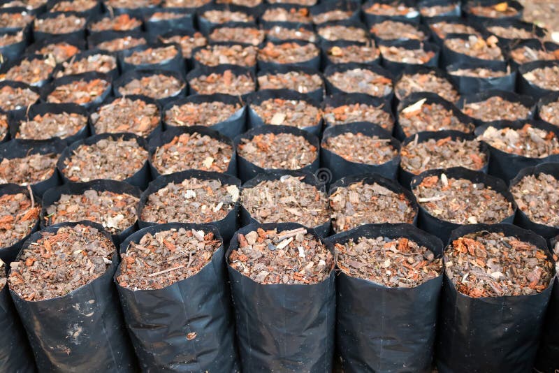 Bag Soil Stock Photos - Download 2,529 Royalty Free Photos