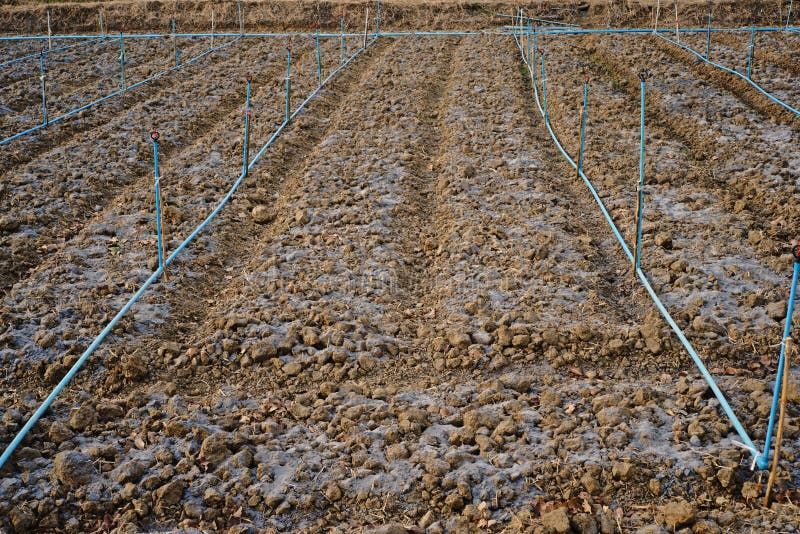 Land Preparation for Vegetable Planting in Low Land Stock Photo - Image ...