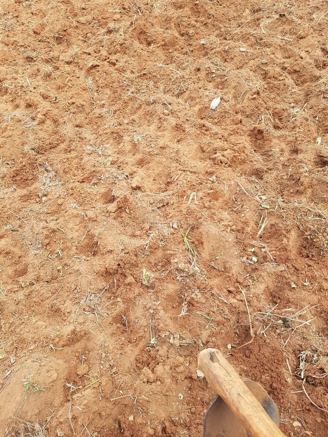 Soil Prepare for Groundnut Project Stock Image - Image of flooring ...