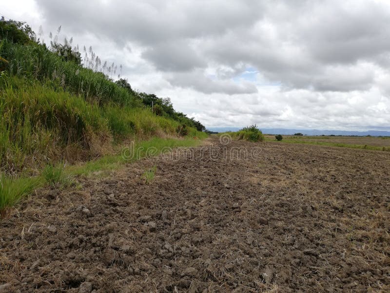 Soil Prepared for Cultivation of Rice Stock Photo - Image of seed ...