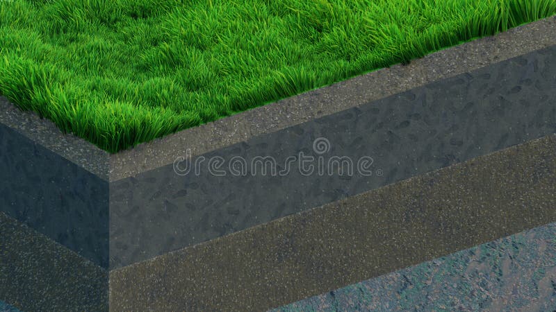 Soil Profile with Realistic Grass Stock Illustration - Illustration of ...