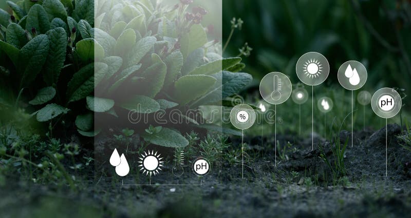 Soil Quality Control, Checking the Level of Moisture, Alkaline ...