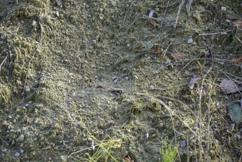 Soil from the Quarry As a Waste Product and for Versatile Use in Garden ...