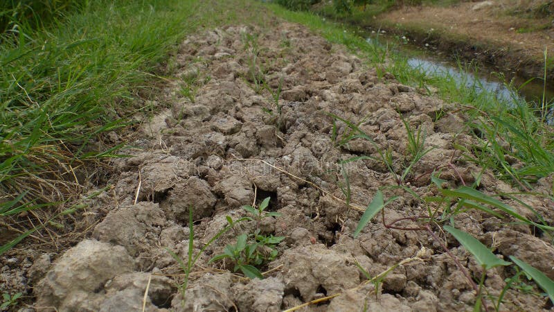 Soil Resources Used for Agriculture Stock Image - Image of valuable ...