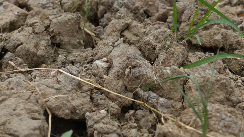 Soil Resources Used for Agriculture Stock Photo - Image of resources ...