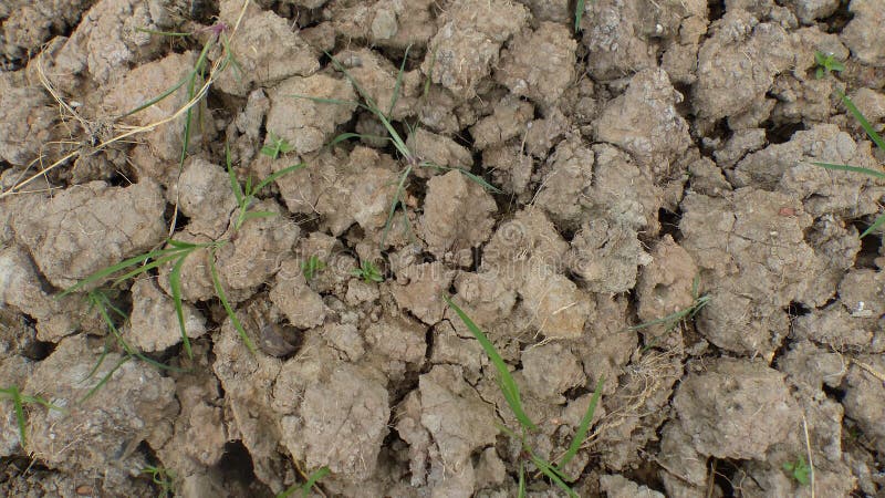 Soil Resources Used for Agriculture Stock Image - Image of soil, clay ...