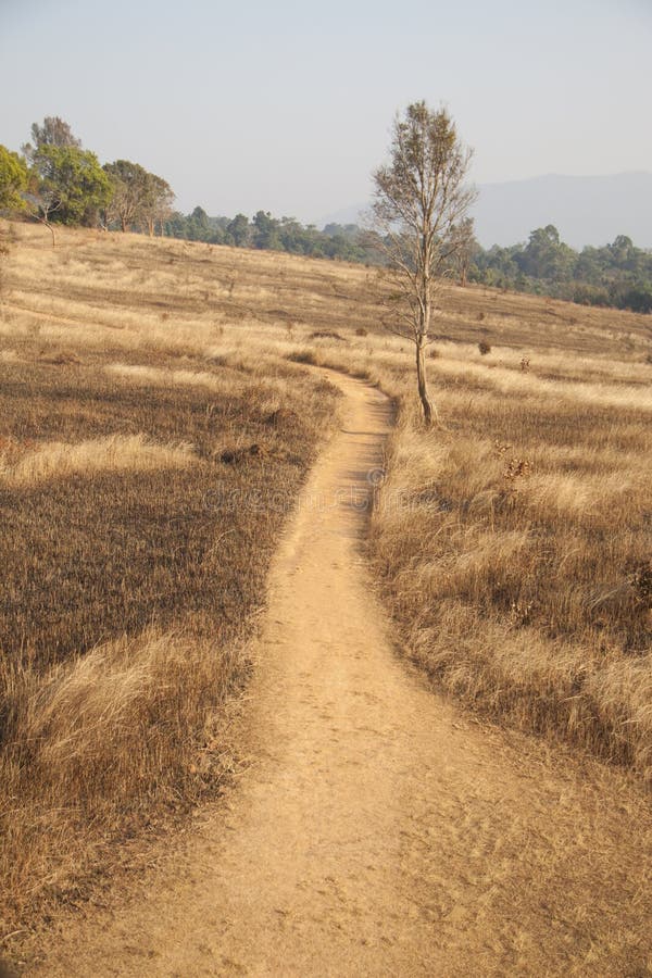 55,523 Soil Road Photos - Free & Royalty-Free Stock Photos from Dreamstime