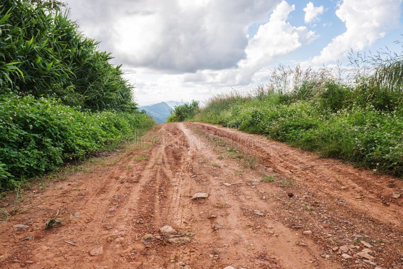 Soil road in forest stock image. Image of park, hiking - 116281903