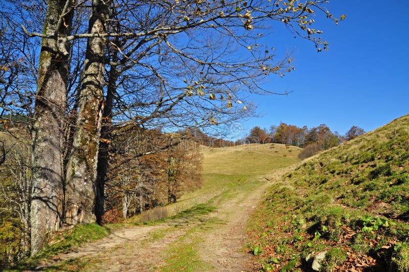 Soil road on a hillside. stock photo. Image of nature - 16509124