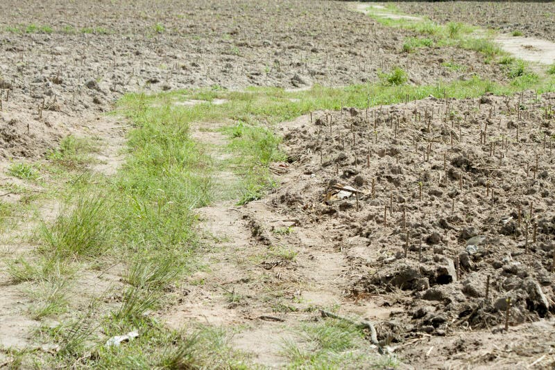 Soil road. stock photo. Image of path, earth, ground - 120161740