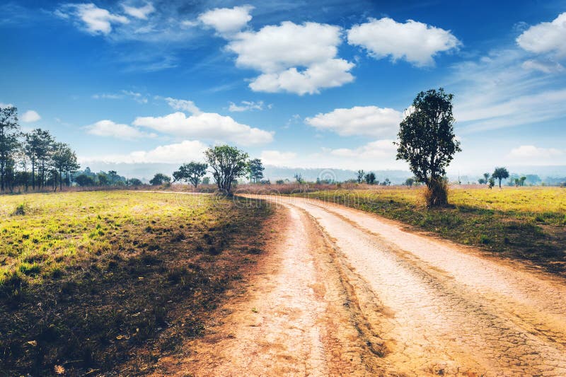 Soil Road and Tree stock photo. Image of field, soil - 116272586