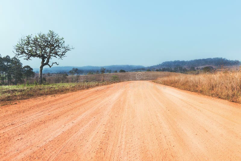 Soil Road and Tree stock photo. Image of track, path - 116272614