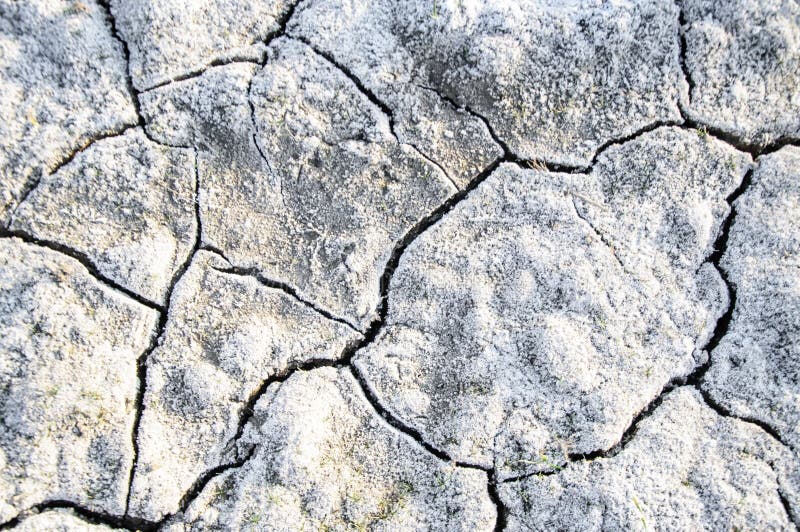 Soil salinity and cracks stock photo. Image of climate - 136700310