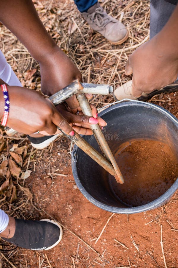 Soil Sample for Testing Collection Put in the Bucket in Kenya East ...