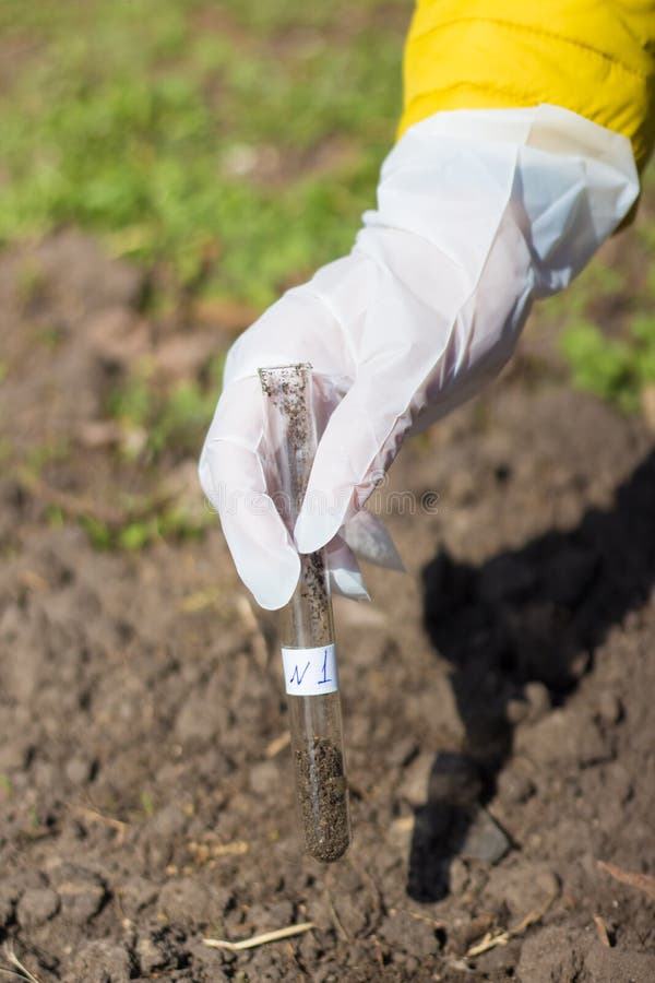 Soil Samples in a Test Tube for Research Stock Image - Image of ...