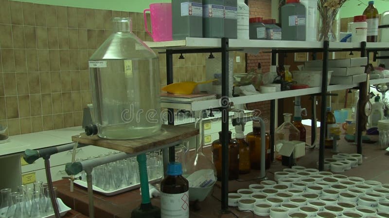 Analysis of Soil Samples in Laboratory. Stock Footage - Video of clear ...