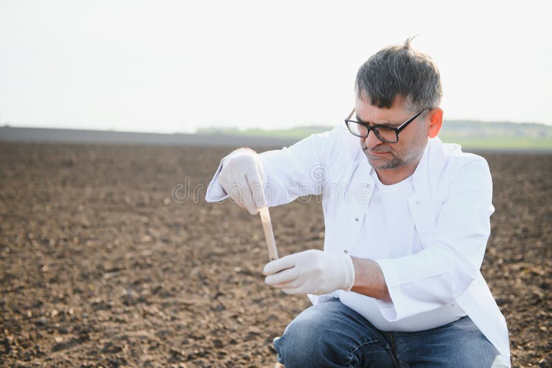 Soil Sampling. Agronomist Taking Sample with Soil Probe Sampler Stock ...