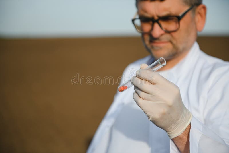 Soil Sampling. Agronomist Taking Sample with Soil Probe Sampler Stock ...