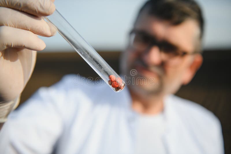 Soil Sampling. Agronomist Taking Sample with Soil Probe Sampler Stock ...