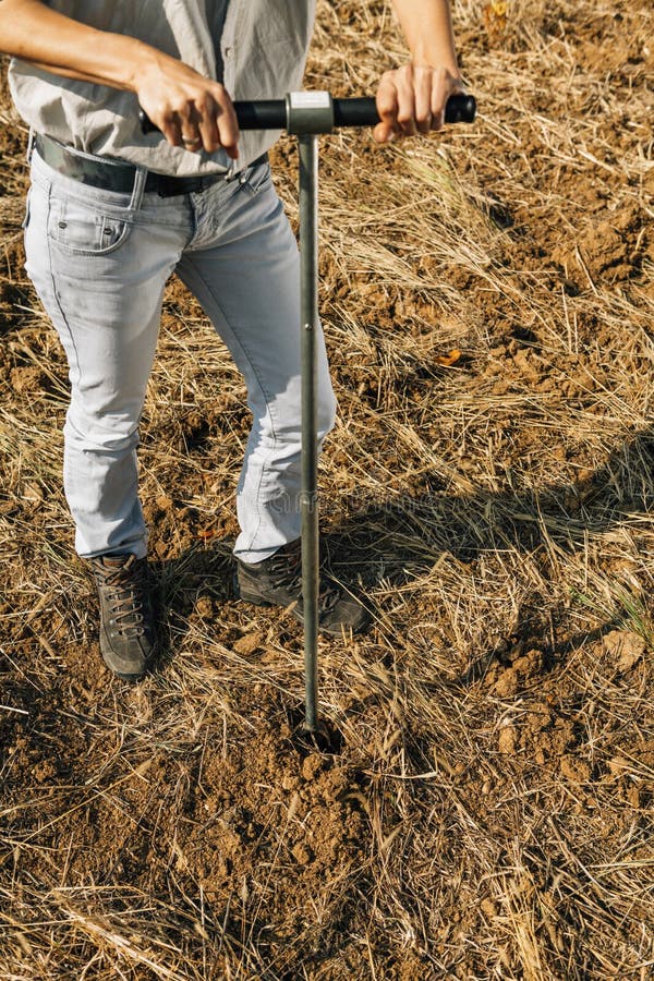 Soil Sampling. Woman Agronomist Taking Sample with Soil Probe Sampler ...