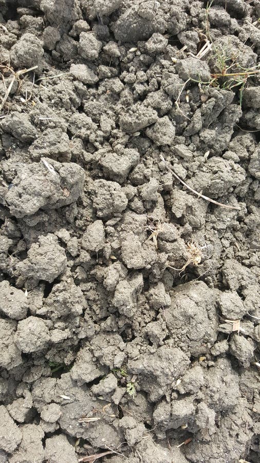 Soil / Sand Texture Background. Abstract Texture Stock Photo - Image of ...